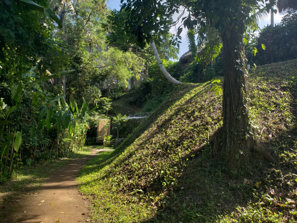 Kajeng rice fields walk Bali – Wanderlust Welshman
