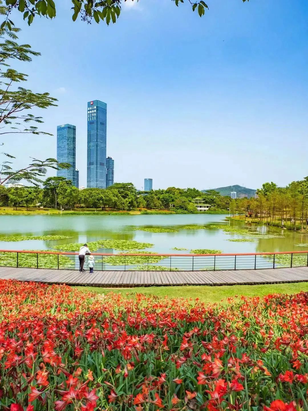 Exploring wetland parks in Shenzhen China – Wanderlust Welshman