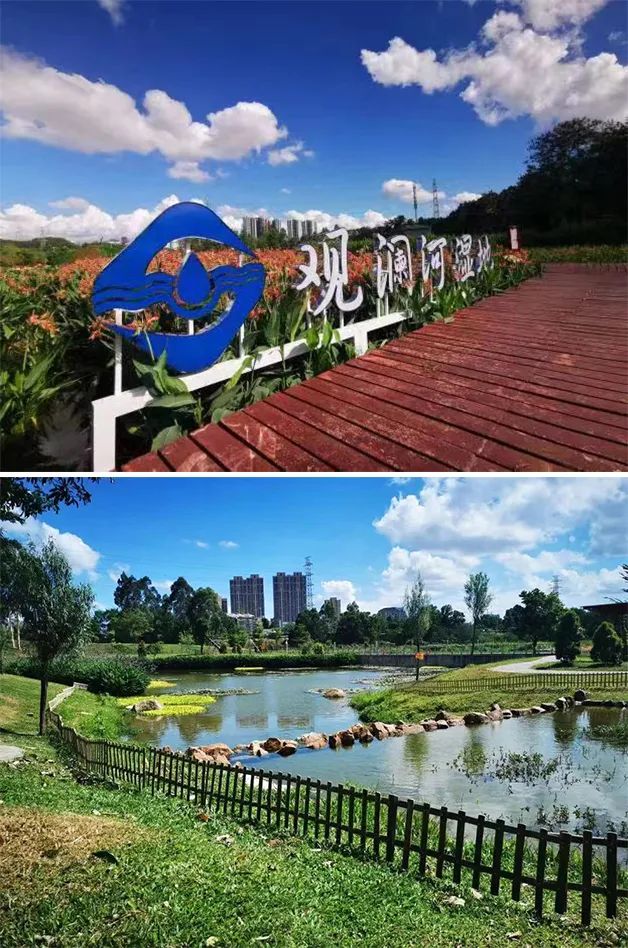 Exploring wetland parks in Shenzhen China – Wanderlust Welshman